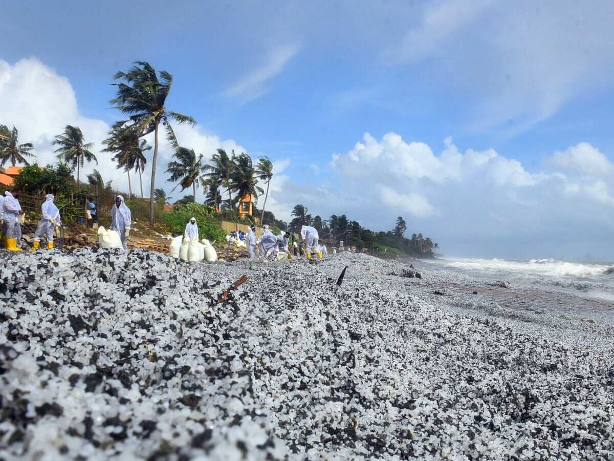 Wion Climate Tracker Nurdles Or The Tiny Plastic Pellets Choking