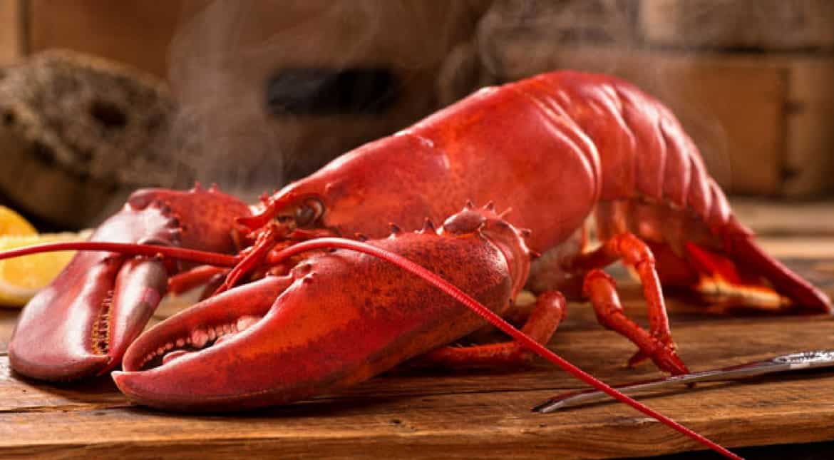 It is now illegal to boil lobsters alive in Switzerland - World News