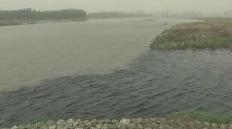 Punjab: Water in Buddha Nulla stream turns black due to pollution ...
