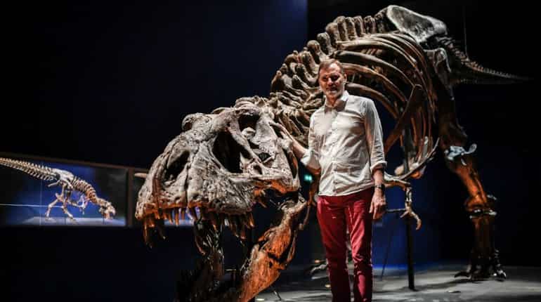 First 'real look' at T-Rex skeleton in Paris museum - World News