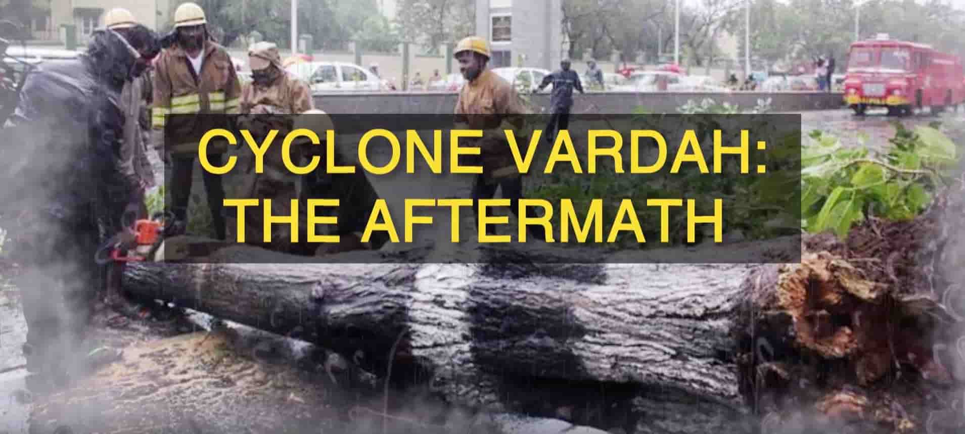 Cyclone Vardah: The Aftermath - South Asia News