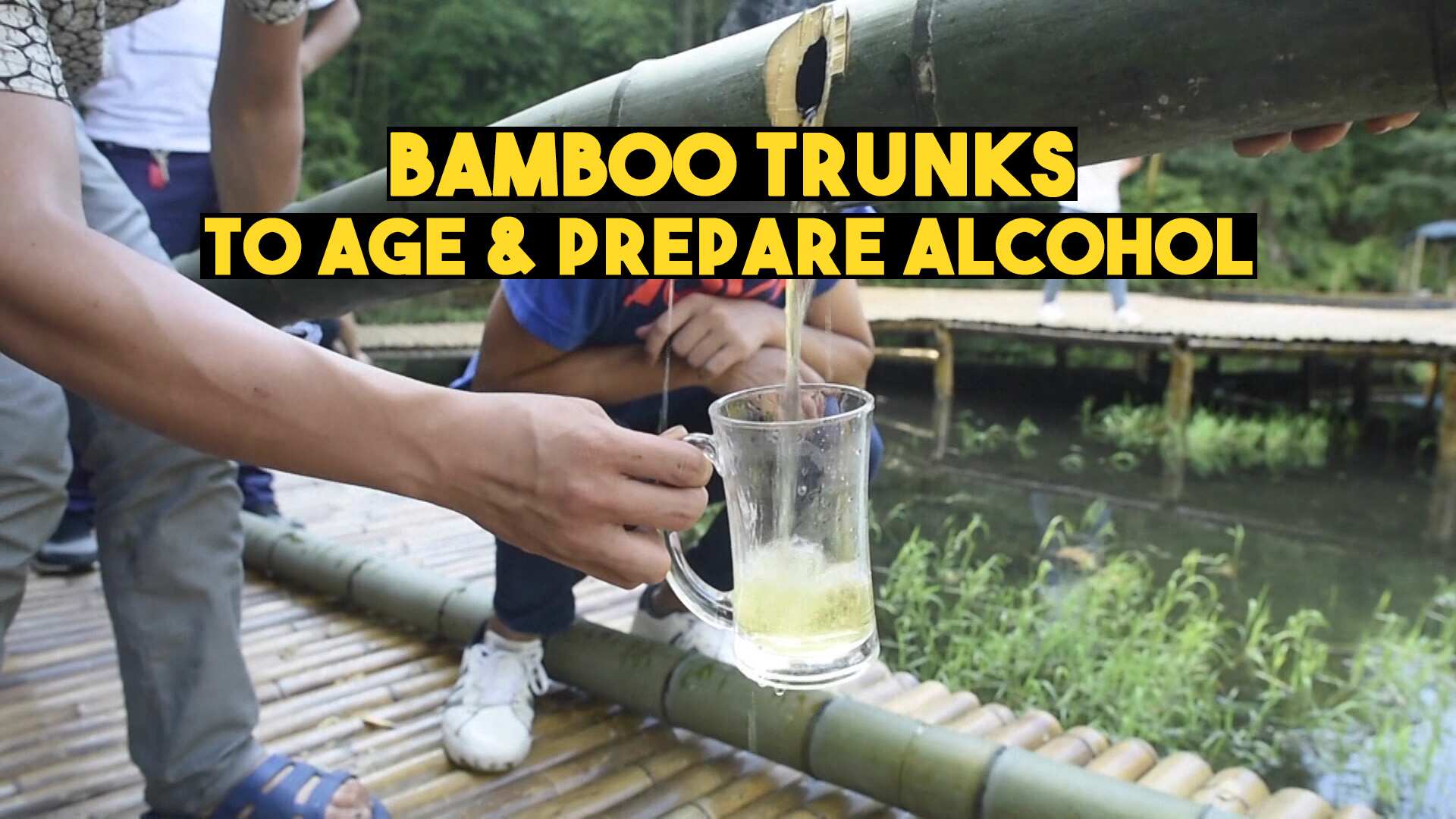 Bamboo trees are being used in China to age & prepare alcohol - Edge News