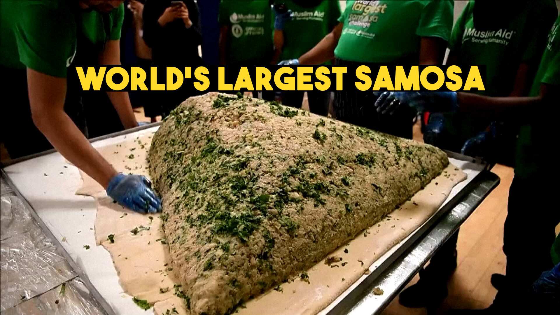 What does the world's largest Samosa look like? - Edge News