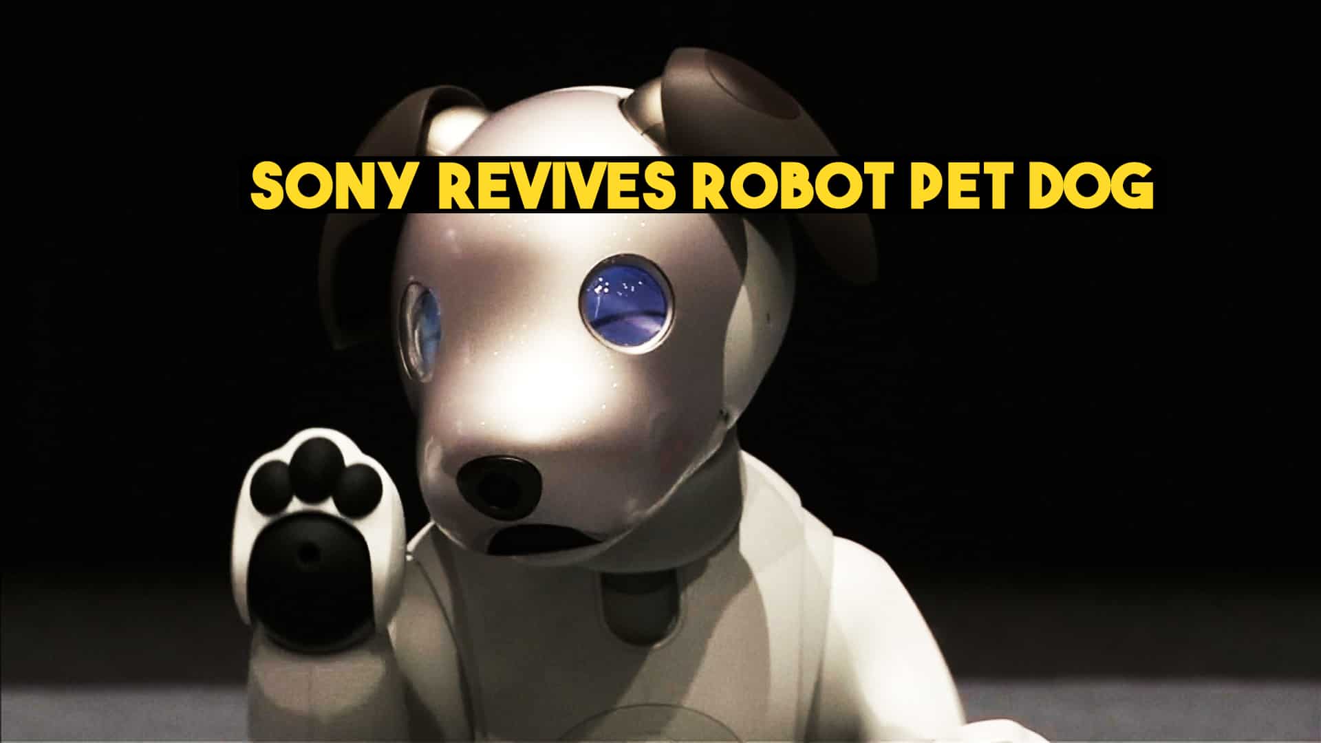 Sony announces new robot dog - Edge News