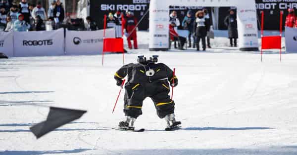 Watch: Pyeongchang winter robots Olympics - Sports News