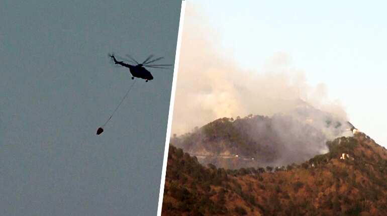 Forest fire breaks on Vaishno Devi route - India News News