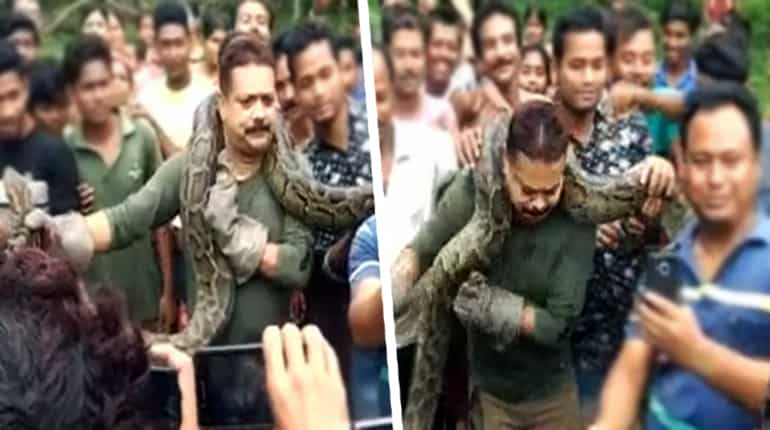 Narrow escape for range officer after python strangles him - India News ...
