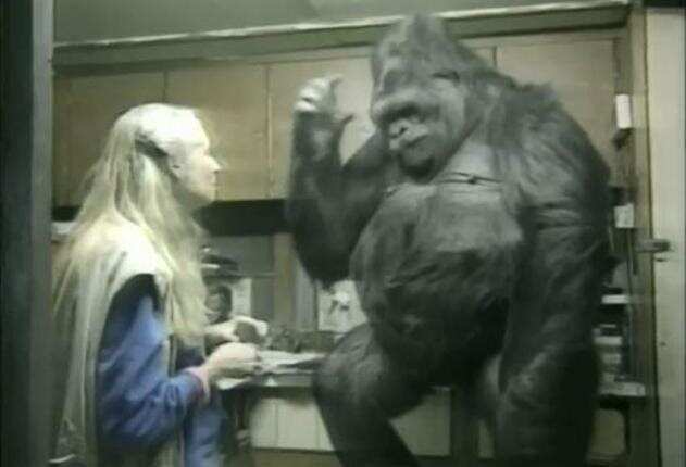 Koko the gorilla, master of sign language dies - World News