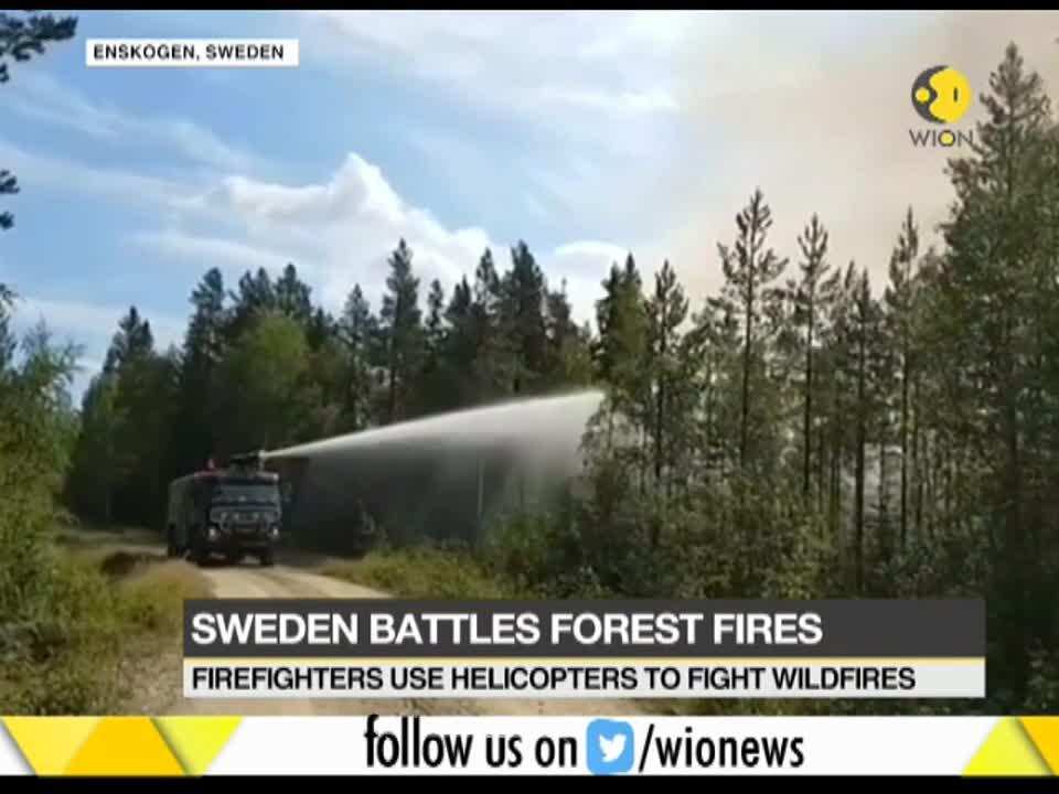 Firefighters battle wildfires in Sweden - World News