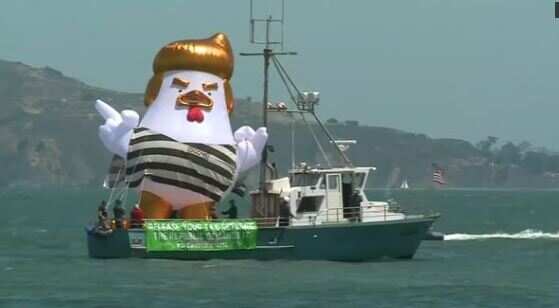 Watch: 'Trump Chicken' dressed as a prisoner sail around San Francisco ...