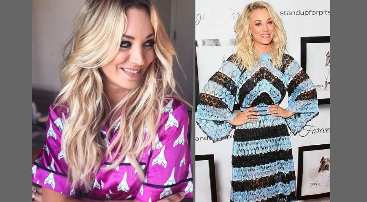 The Big Bang Theory's Kaley Cuoco signed as Harley Quinn for DC's ...