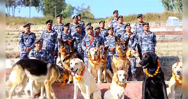 Watch: Nepal celebrates ‘Kukur Tihar’ one day ahead of Diwali, a ...