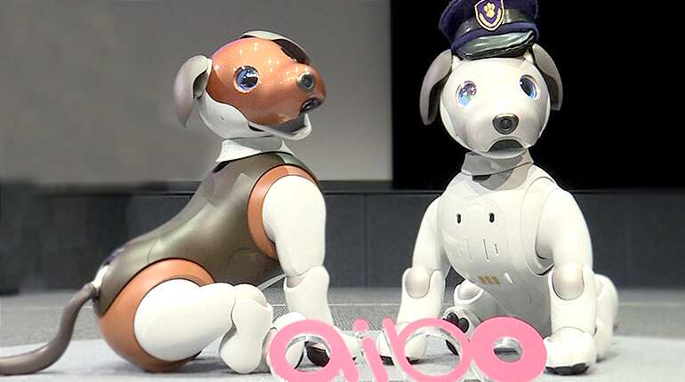 Paw patrol: Sony offers robocop dog at home - World News