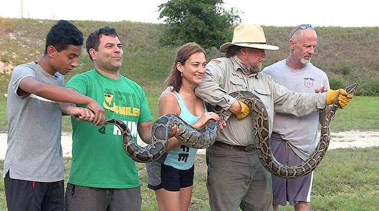 Python patrols stalk Florida swamps to staunch marauding serpents ...
