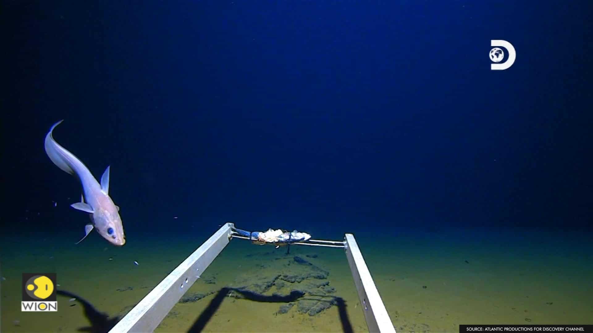 Deepest dive ever made by a human inside a submarine - World News