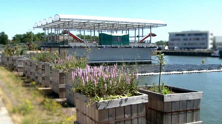 World's first floating farm makes a splash in Rotterdam harbor - World News