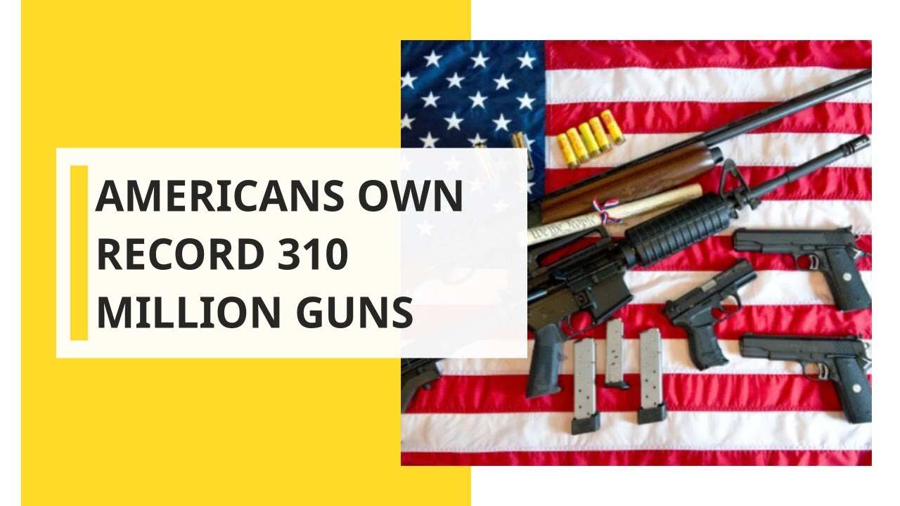 US holds world record for 310 million guns - World News