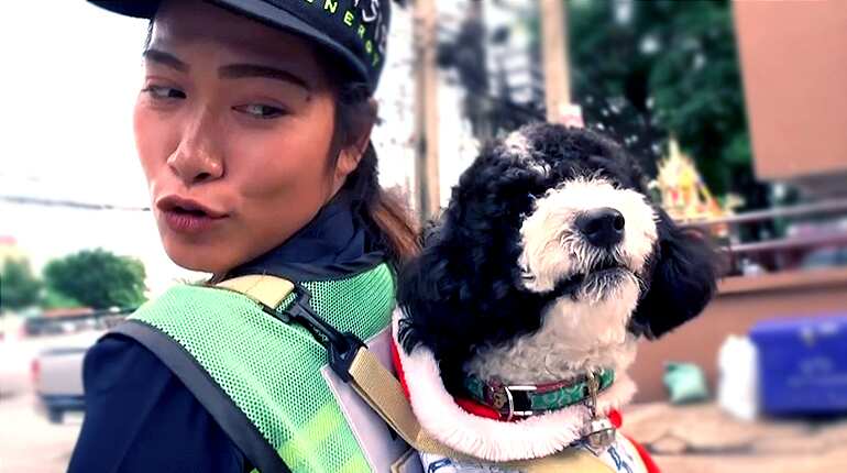 Bangkok street sweeper goes viral after carrying her dog to work ...