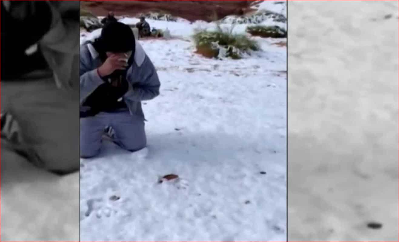 Snow in Saudi Arabia? Locals share pictures, videos of snow-blanketed ...
