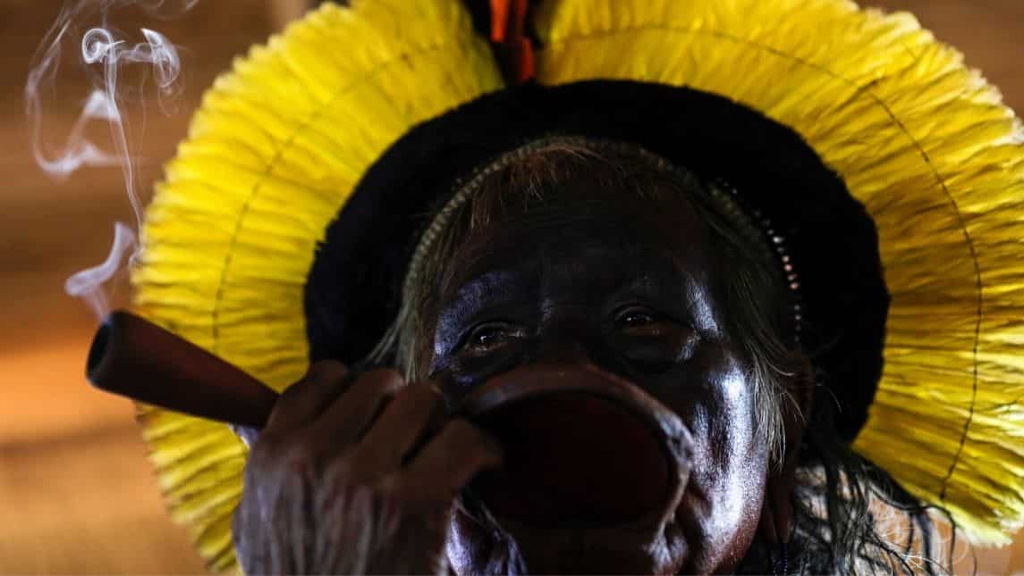 'Genocide, ethnocide, ecocide': Brazilian tribes call for protection of ...