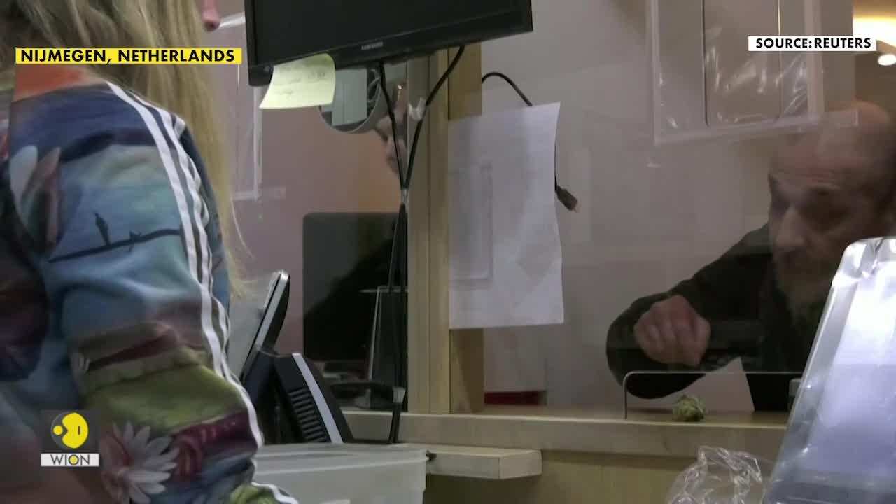 Dutch marijuana back on sale, but don't forget to clean your hands ...