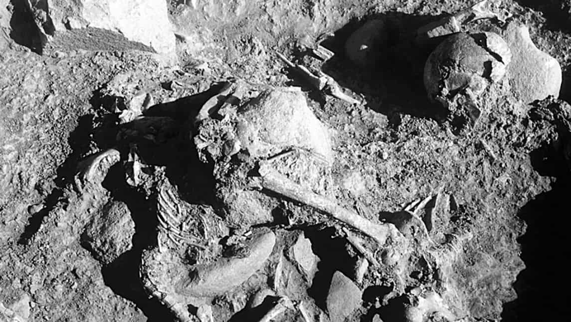 Scientists discover oldest strain of bacteria responsible for bubonic ...
