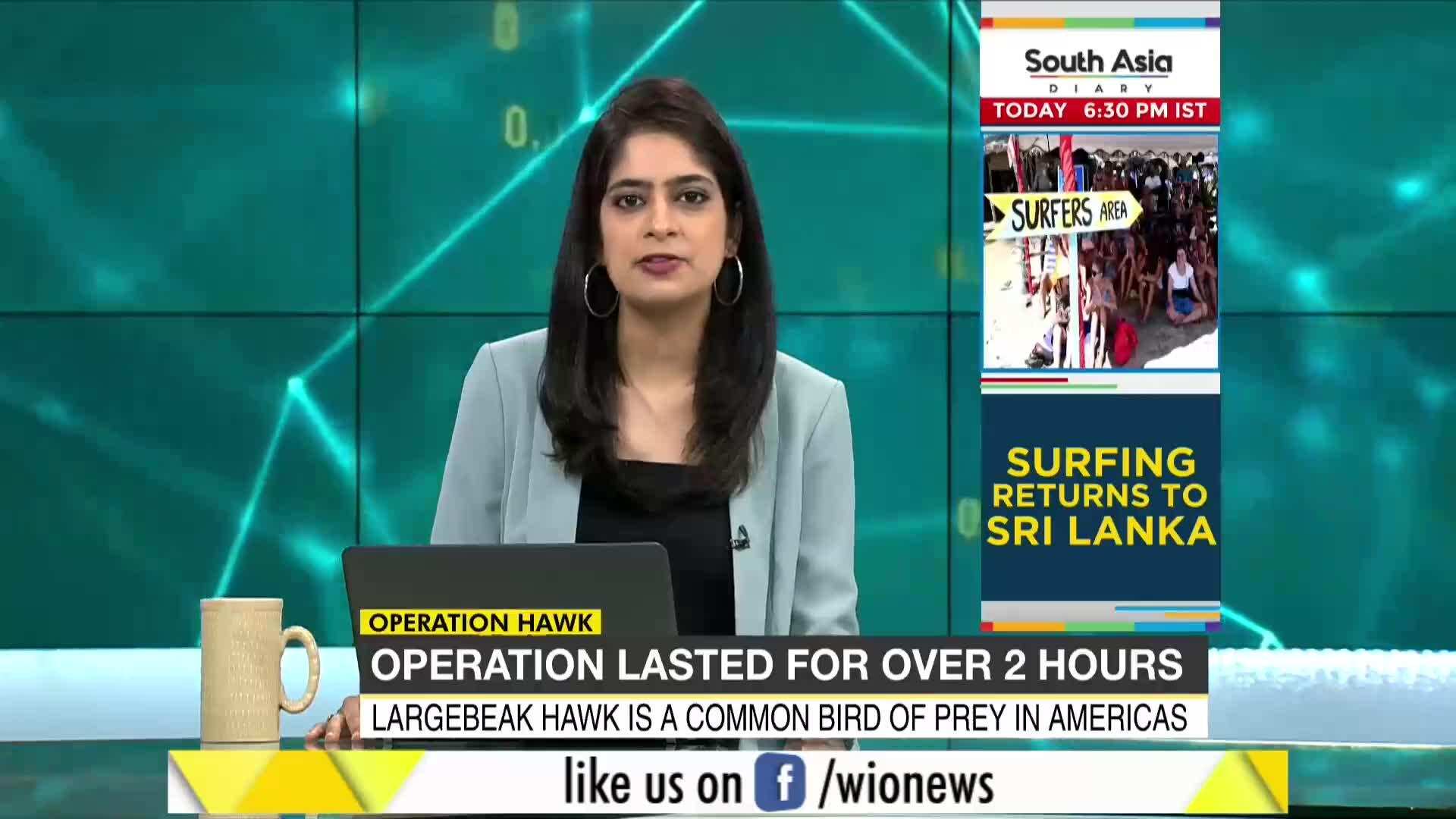 Operation Hawk: Artificial wings help hawk fry again - World News