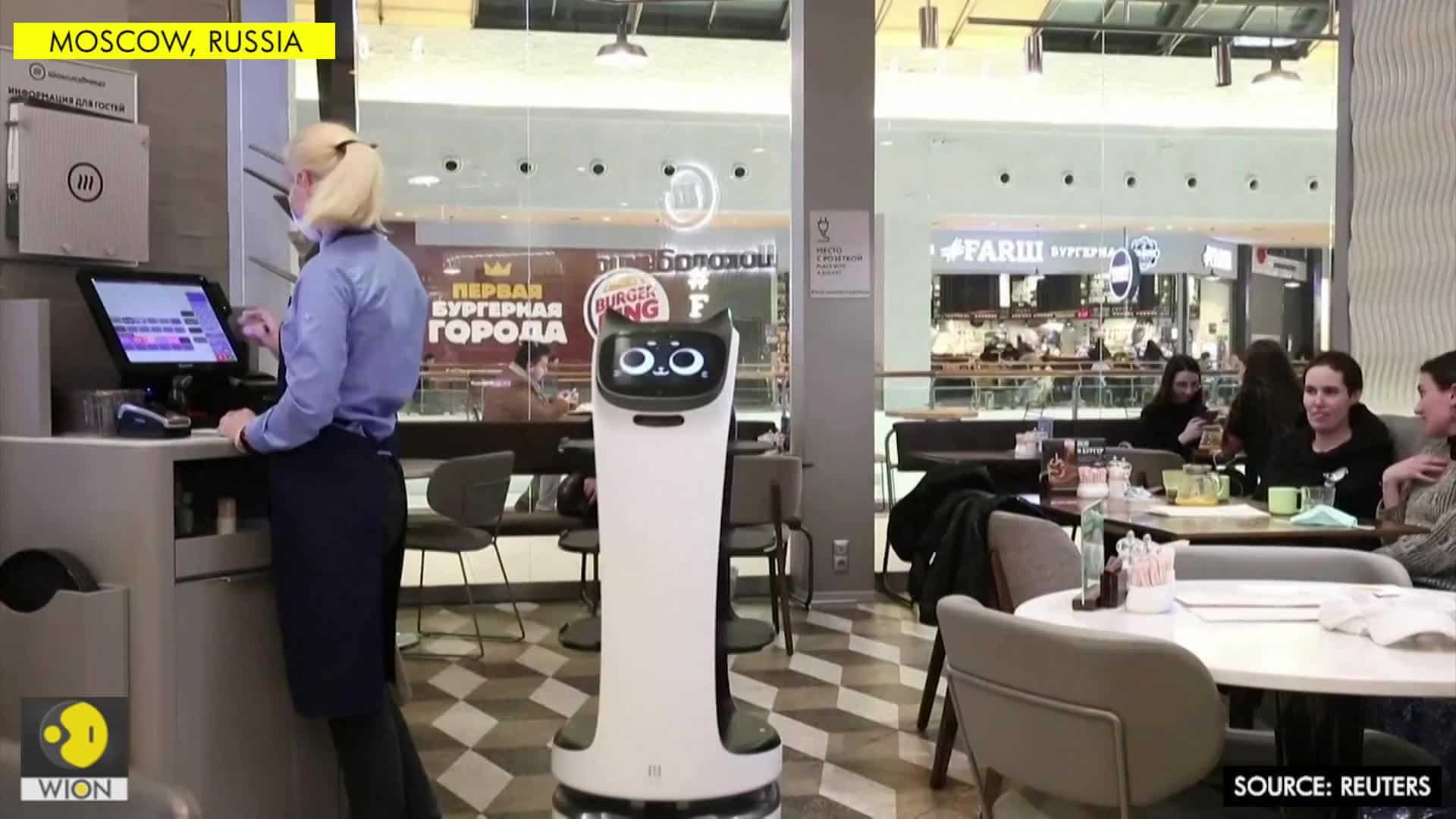 Robotic cat-like waiter delights customers in Russian cafe - Edge News