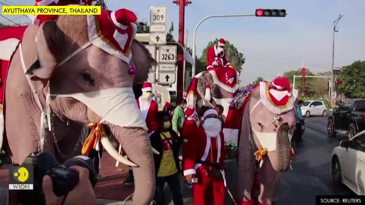 Elephants hand out Christmas cheer and face masks to Thai students ...