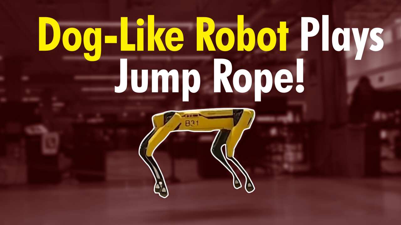 Have you seen robot playing jump rope? This dog-like robot gets human ...