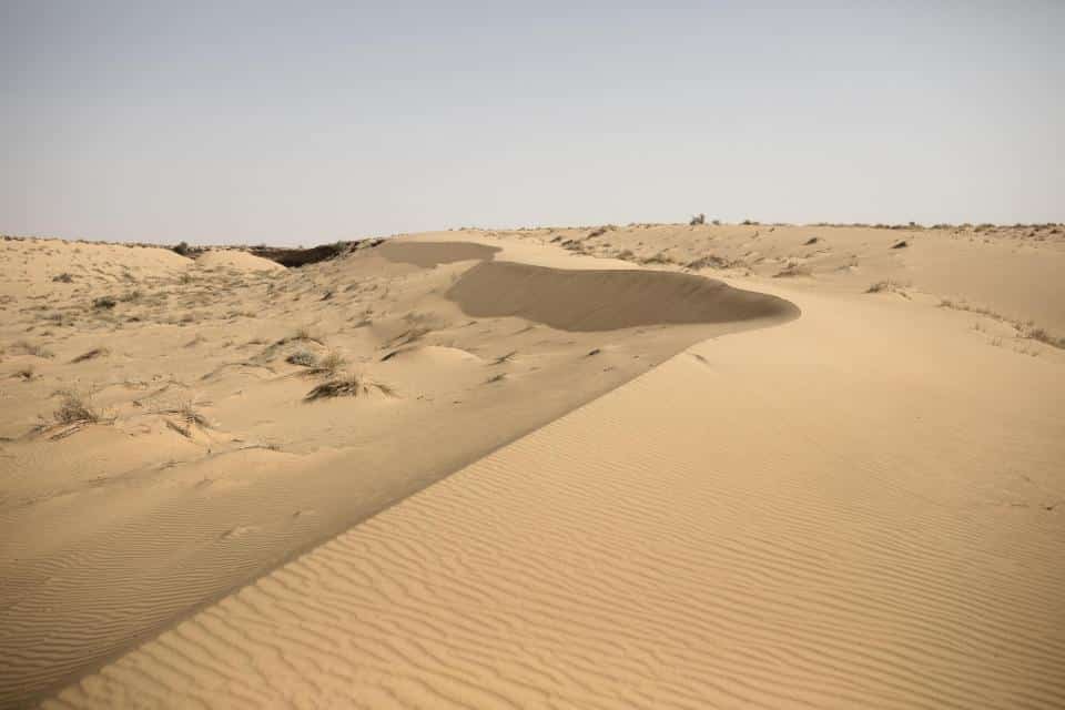 Sahara Desert News - Latest Sahara Desert News, Breaking Sahara Desert ...