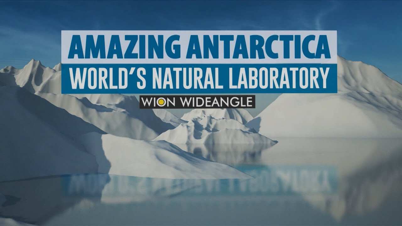 Amazing Antarctica: World's natural laboratory | WION Wideangle - World ...