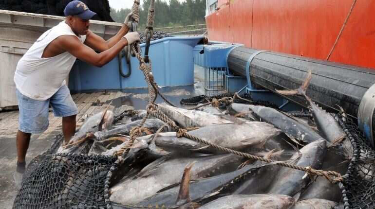 Talks start to protect Indian Ocean's depleting tuna - India News News