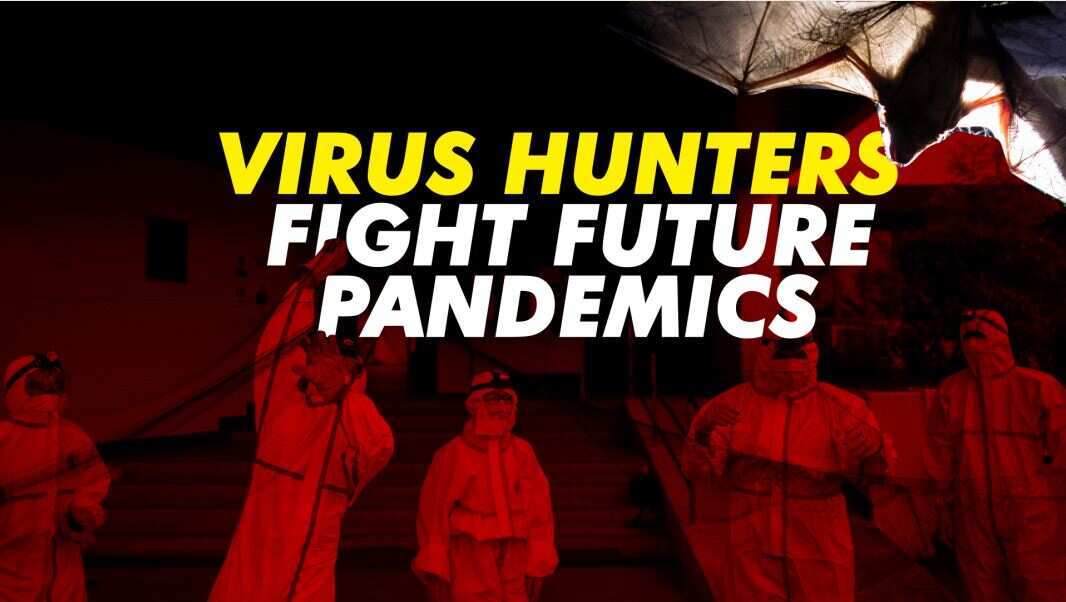 Meet the virus hunters chasing bats to prevent future pandemics - World ...