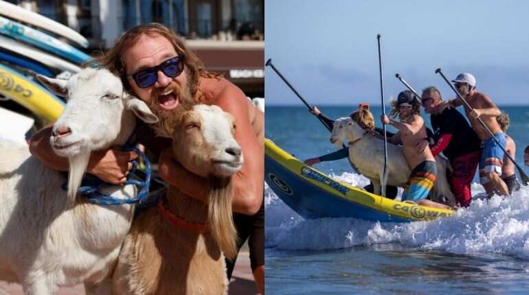 G.O.A.T: This surfer likes to go to the ocean with his pet - World News