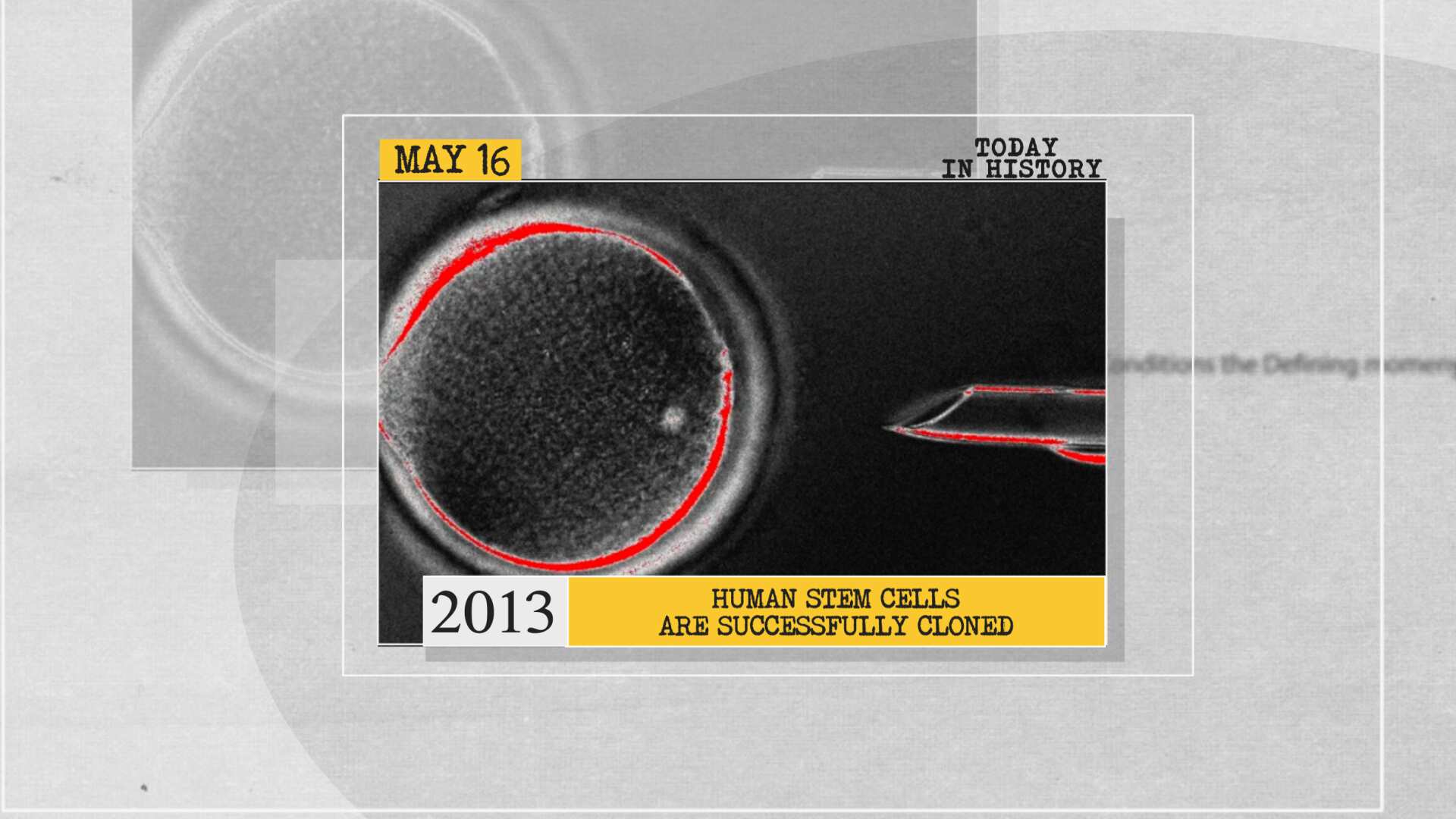 May 16 in history: Cultural Revolution begins in China, human stem ...