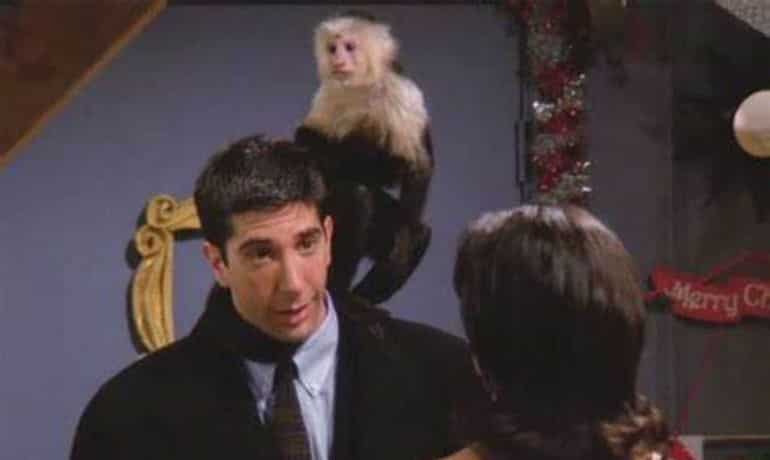 The one where they all look back: Major revelations made during the ...