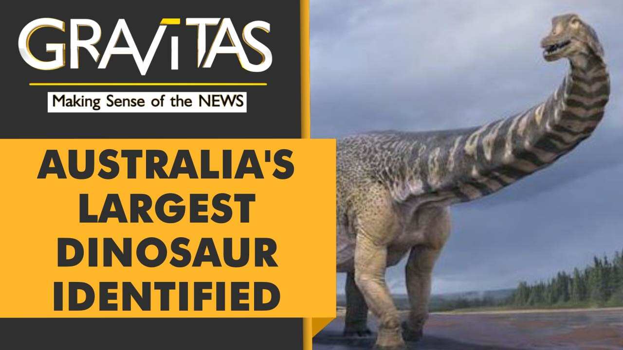 Gravitas | Meet Cooper: Australia's largest dinosaur - Gravitas News