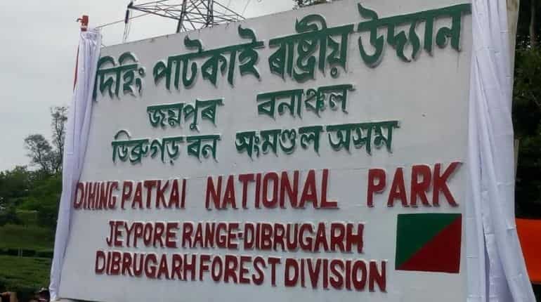 Assam's Dihing Patkai formally inaugurated as National Park - India ...