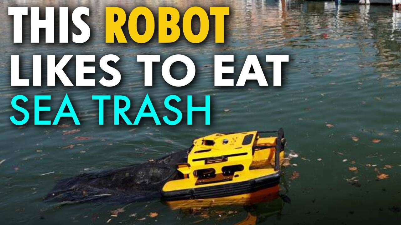 Meet Jellyfishbot, the robot that eats trash on the sea - Edge News