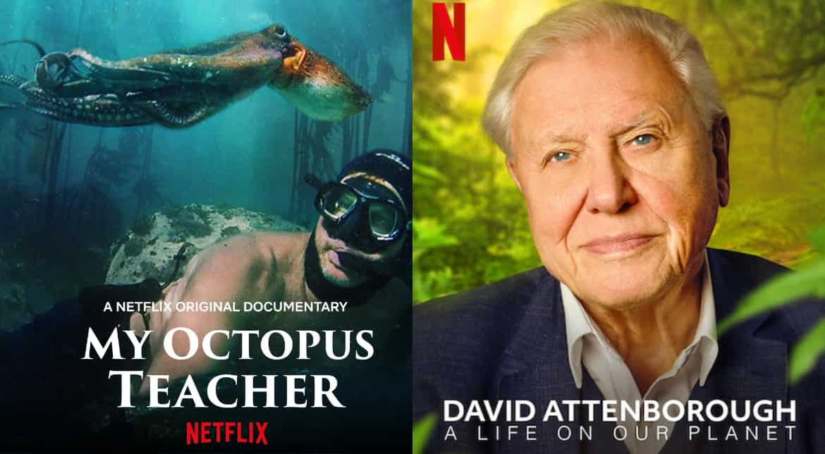 World Nature Conservation Day: From Oscar-winning ‘My Octopus teacher ...