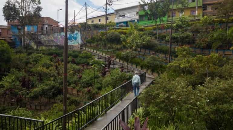 From grey to green: world cities uprooting the urban jungle - World News