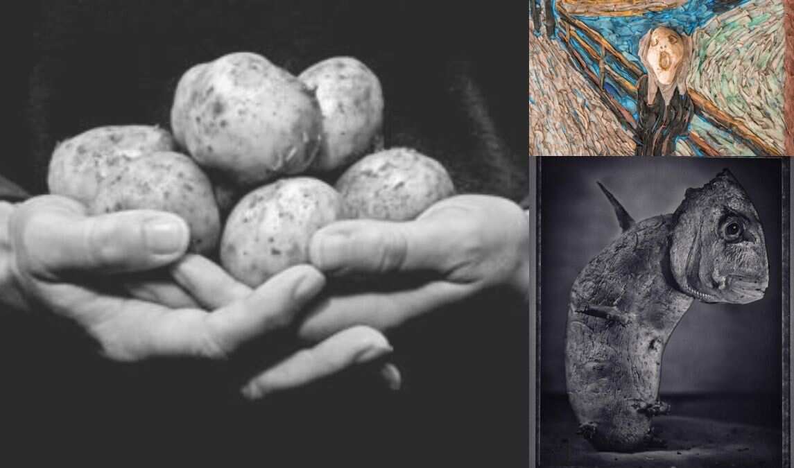 Spud-tastic photography: The Potato Photographer of the Year winners - World News