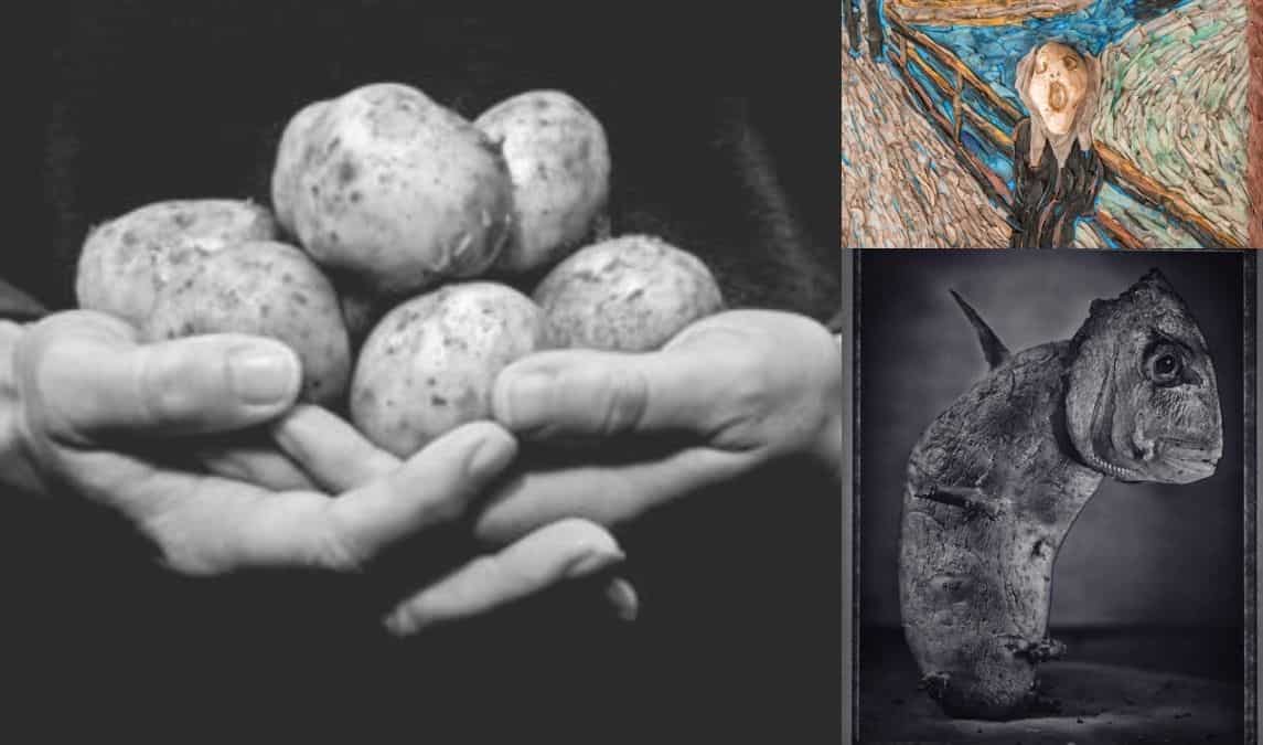 Spud-tastic photography: The Potato Photographer of the Year winners ...