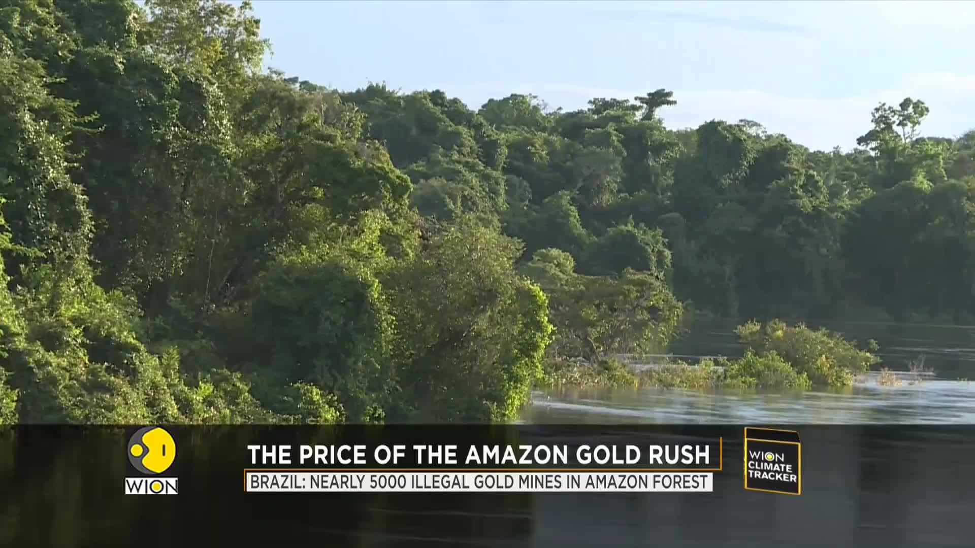 Illegal gold mining thrives in Amazon, miners attack indigenous people ...