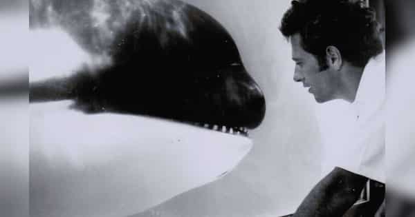 Tragic death of killer whale Hugo who bashed head against tank walls ...