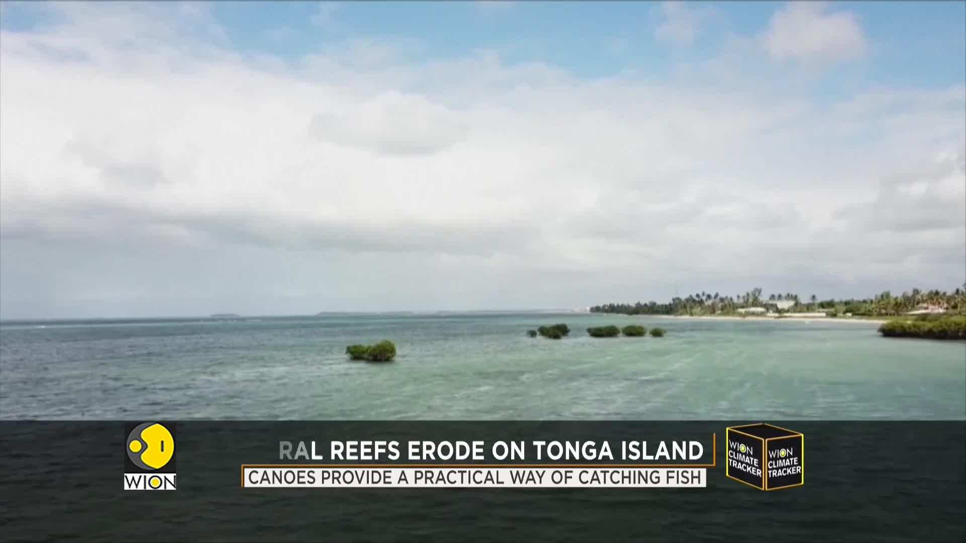 Coral reefs erode on Tonga island, carving canoes could be one solution ...