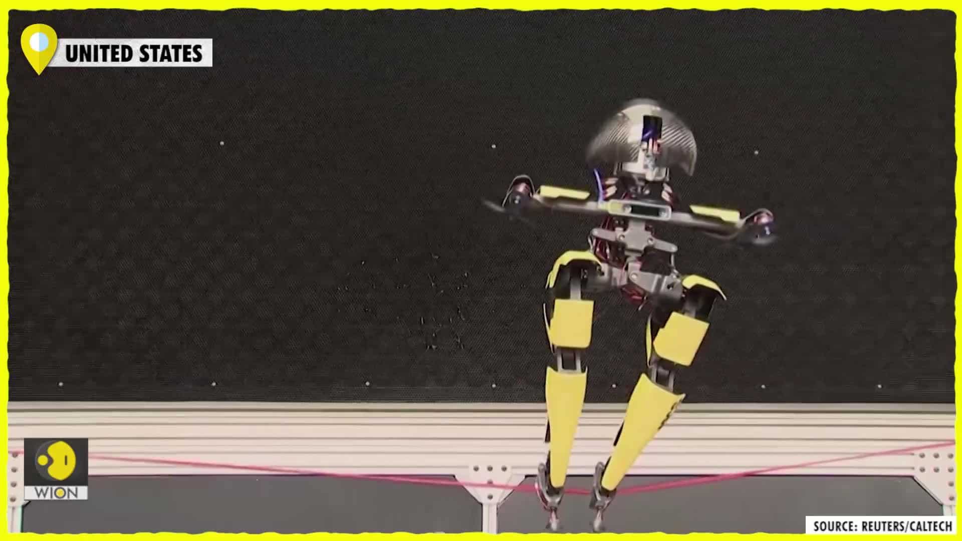 Meet Leo, a robot with multiple skills - Edge News