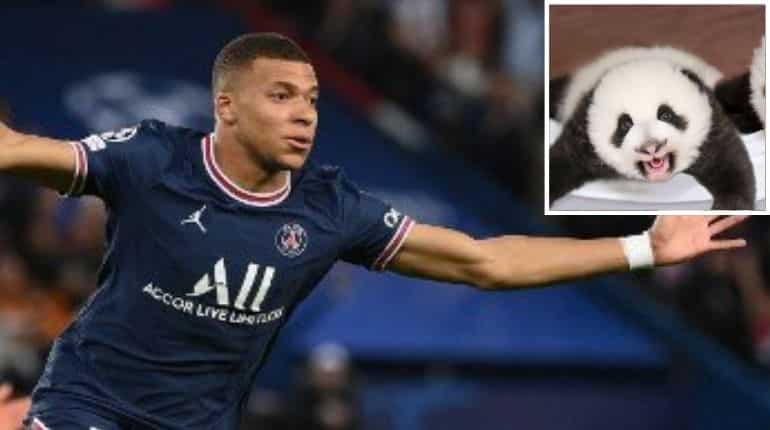 French footballer Kylian Mbappe will be godfather of one of the panda ...