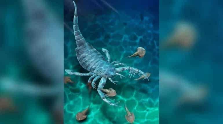 Dog-sized sea scorpions ruled Chinese sea floors 400 million years ago ...